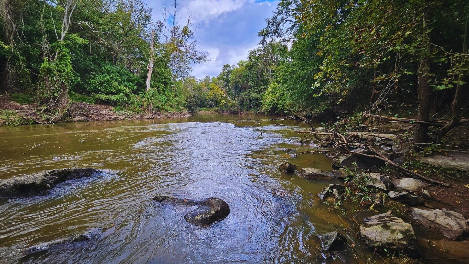 Ossipee Mill Dam Removal | North Carolina | Unique Places to Save