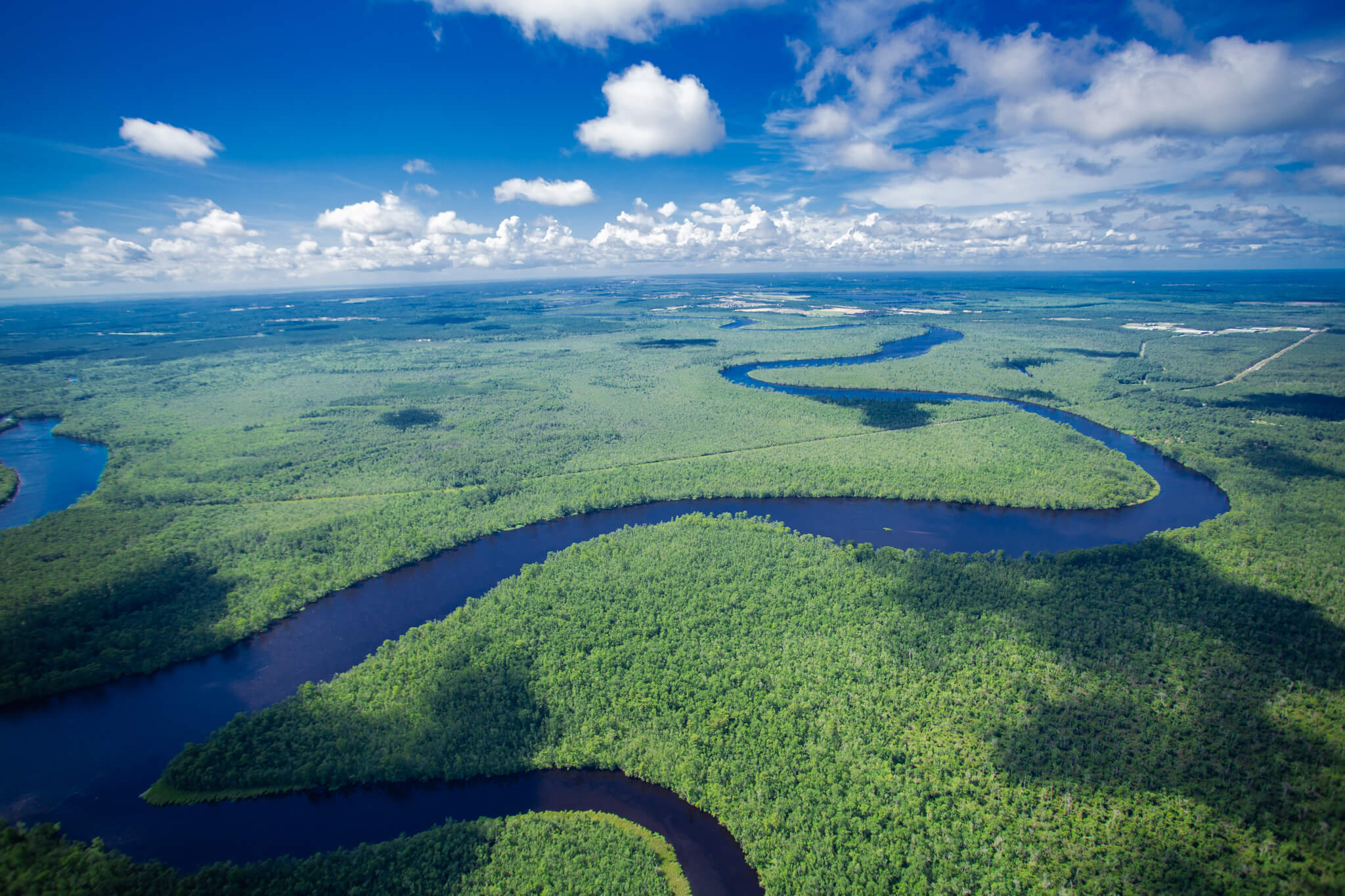 Sledge Forest | Land Conservation North Carolina | Unique Places to Save